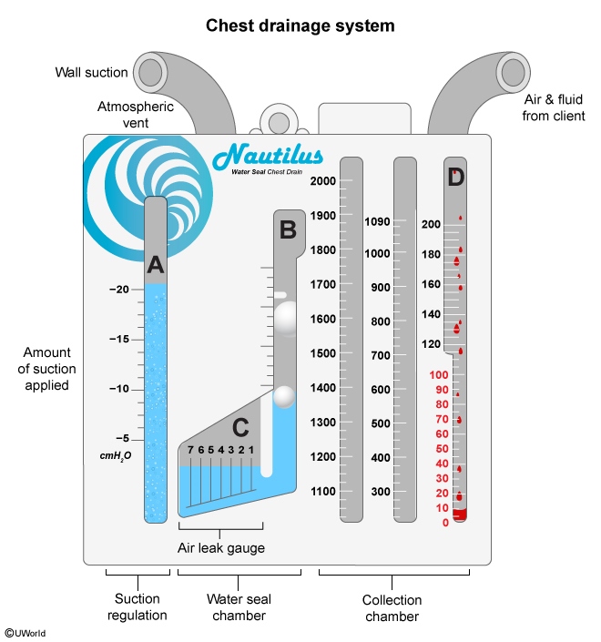 adult, repiratiory : 네이버 블로그