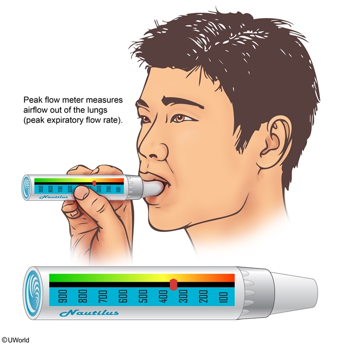 PEFR : 네이버 블로그