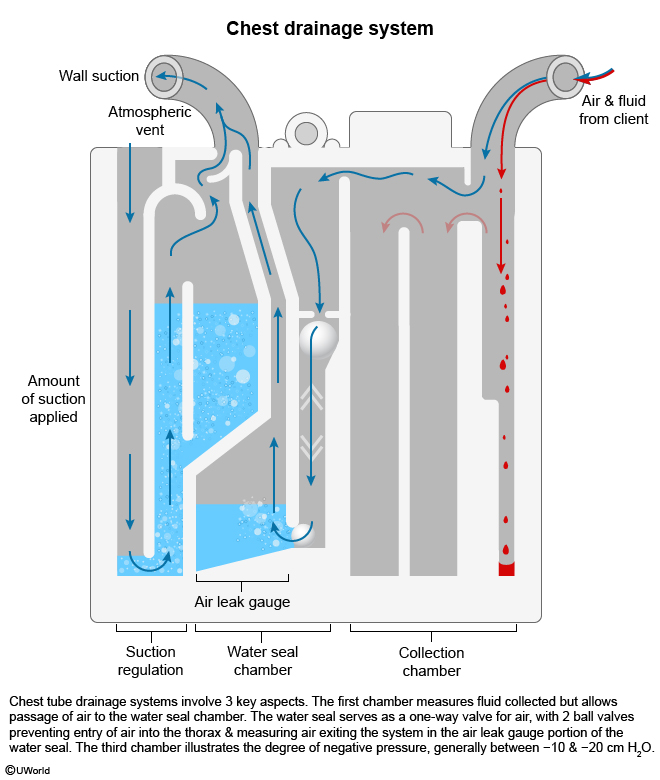 [nclex] Respiratory : 네이버 블로그